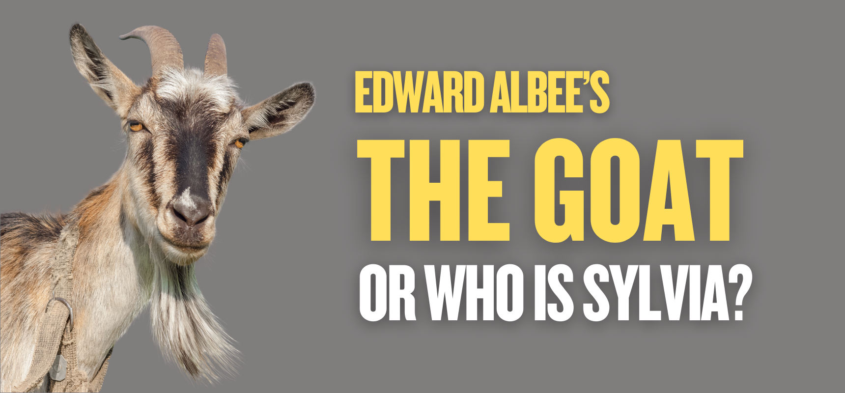 THE GOAT, OR WHO IS SYLVIA? presented by Chookas Entertainment ...